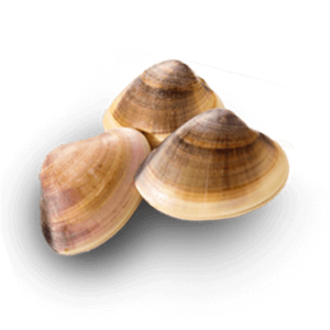 Ombak Kitchen Seafood Restaurant - Pakai Tangan Jer…